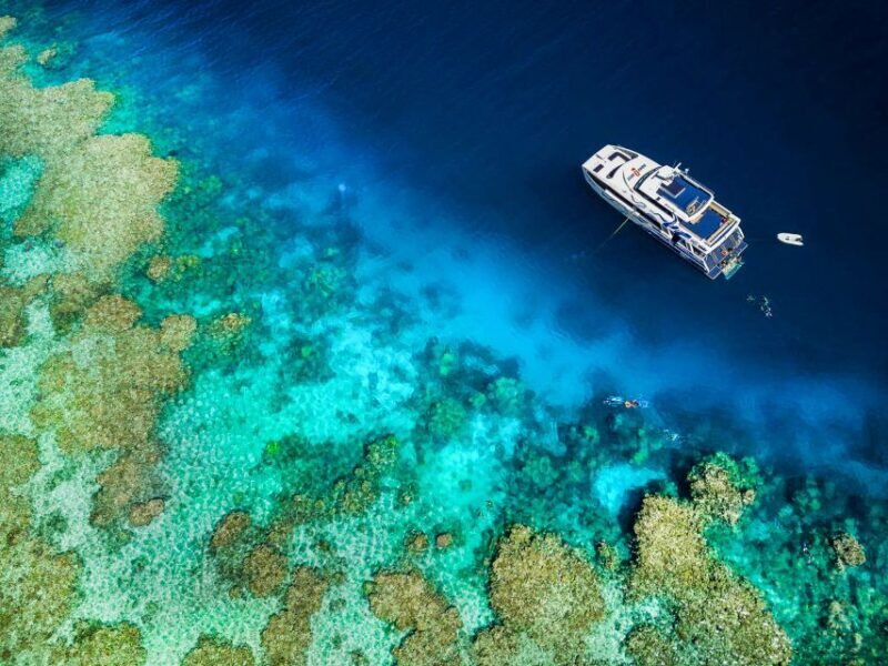 Cairns: Great Barrier Reef Full-Day Tour - Who Is This Tour Best For?