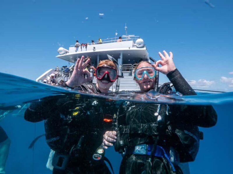 Cairns: Great Barrier Reef Full-Day Tour - Final Thoughts
