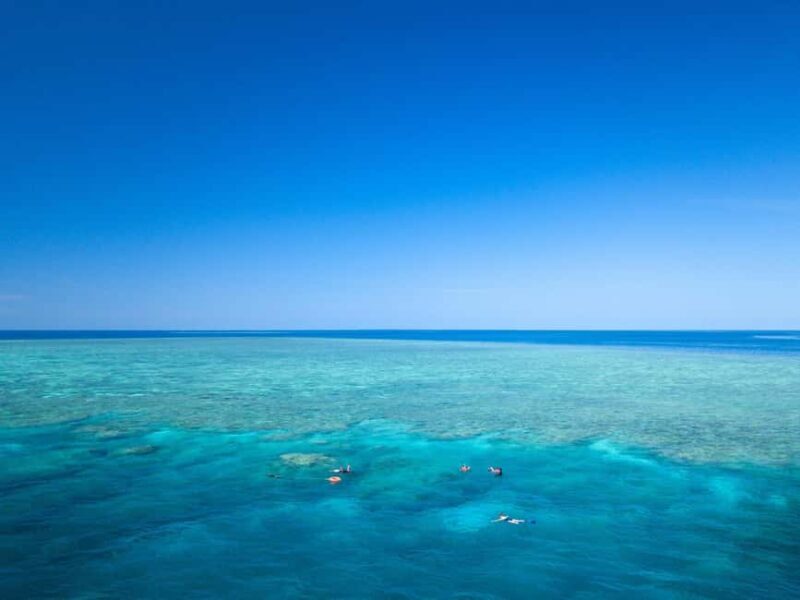 Cairns: Great Barrier Reef Overnight Snorkeling Boat Trip - Snorkeling & Marine Life: The Heart of the Trip