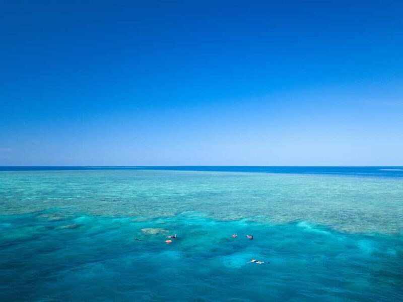 Cairns: Great Barrier Reef Overnight Snorkelling Boat Trip - An In-Depth Look at This Reef Experience