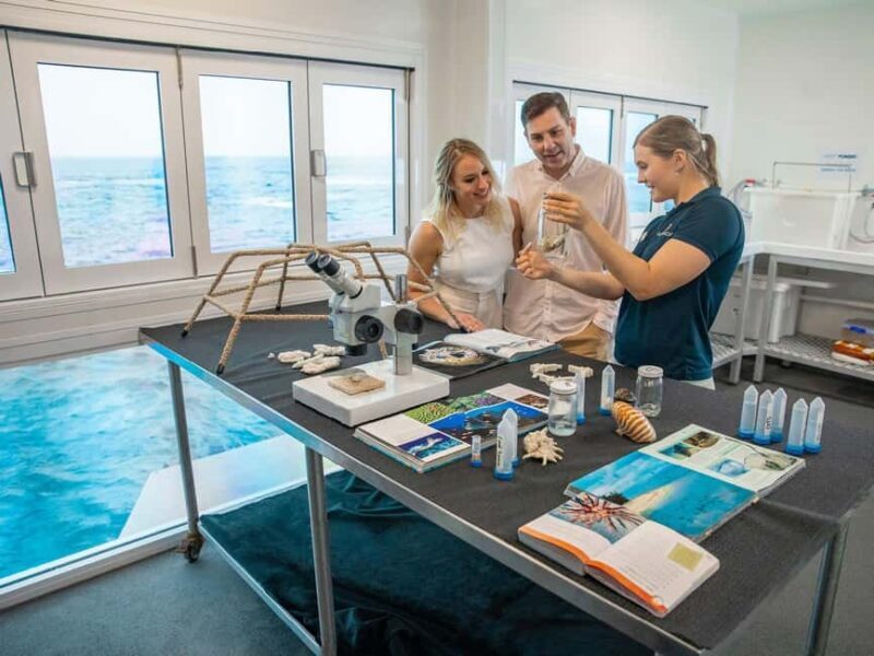 Cairns: Great Barrier Reef Pontoon - Indulgence Package - The Sum Up