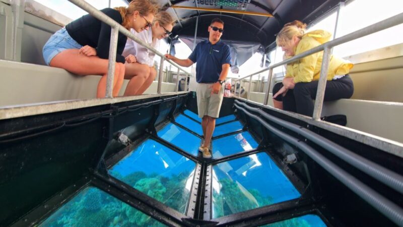Cairns: Great Barrier Reef Pontoon with Water Activities - FAQ