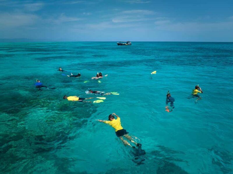 Cairns: Great Barrier Reef Small Group Snorkelling Tour - The Sum Up