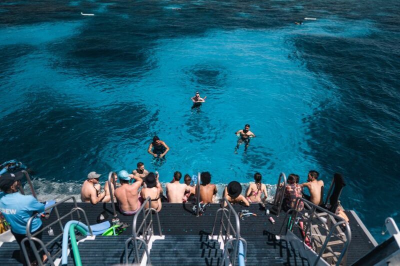 Cairns: Great Barrier Reef Snorkeling Cruise with Lunch - Potential Drawbacks and Who It’s Best For