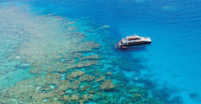 Cairns: Great Barrier Reef Snorkeling Cruise with Lunch - FAQs