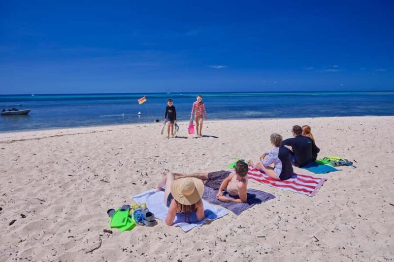 Cairns: Green Island Full-Day Tour with Diving - Key Points