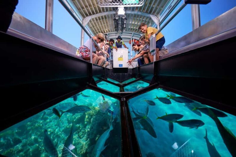 Cairns: Green Island Full-Day Tour with Diving - Authentic Experiences and Highlights