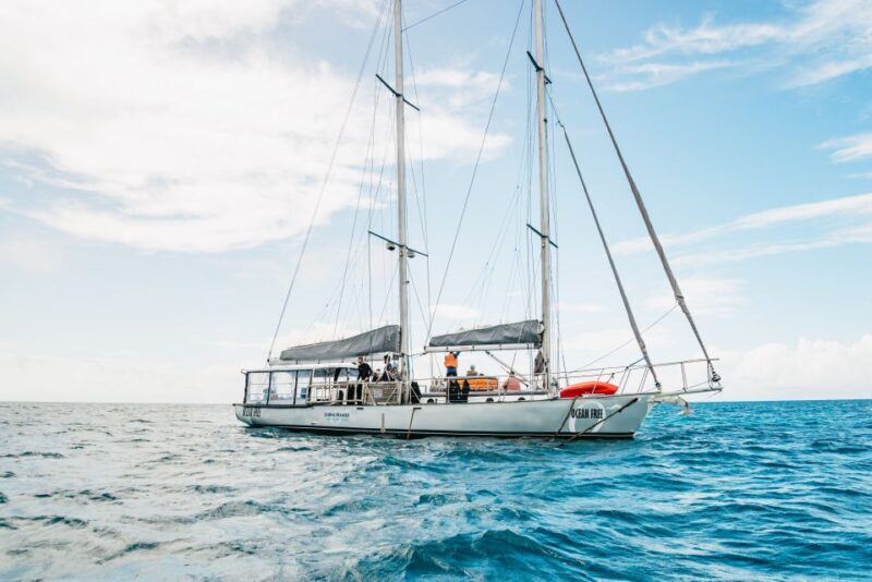 Cairns: Green Island & Great Barrier Reef Sailing Tour - The Experience for Different Travelers