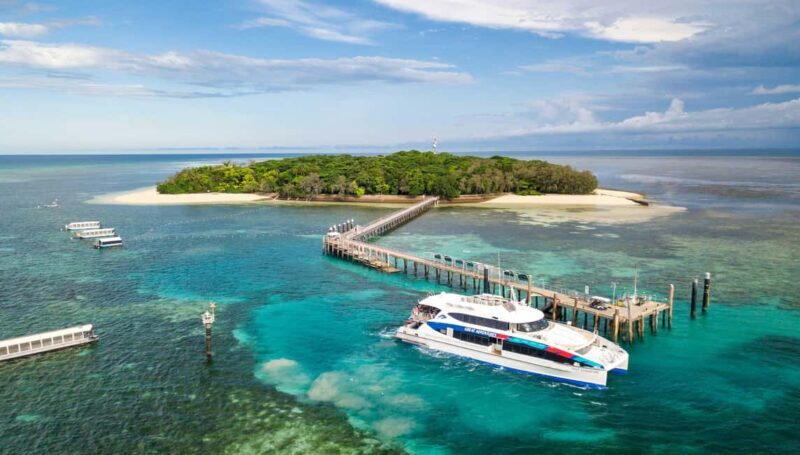 Cairns: Green Island + Moore Reef Activity Platform Combo - Exploring the Cairns: Green Island + Moore Reef Activity Platform Combo