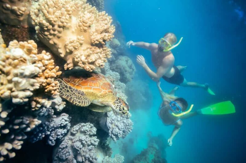 Cairns: Green Island, Snorkelling and Glass-Bottom Boat - Key Points