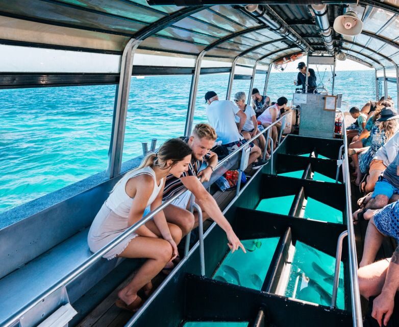 Cairns: Green Island Snorkelling or Glass Bottom Boat - What the Reviews Tell Us