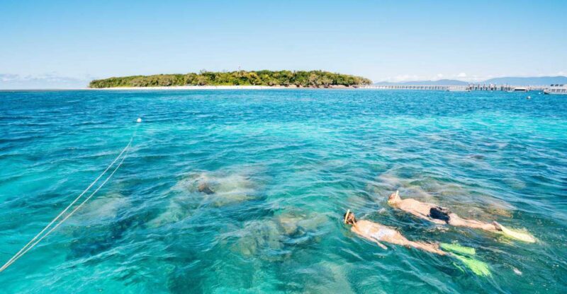 Cairns: Green Island Snorkelling or Glass Bottom Boat - Practical Tips for Your Visit
