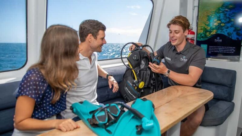 Cairns: Half-Day Outer Reef Snorkel Tour - Key Points