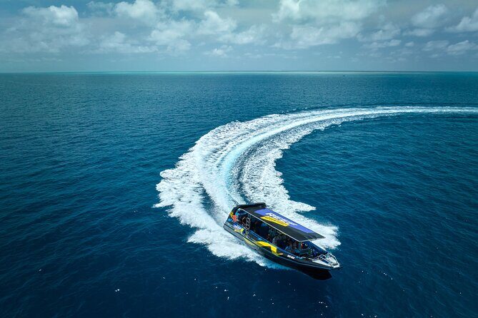 Cairns Half Day Tour a Great Barrier Reef Snorkeling Experience - Introduction: Why This Cairns Reef Snorkeling Tour Is a Hit