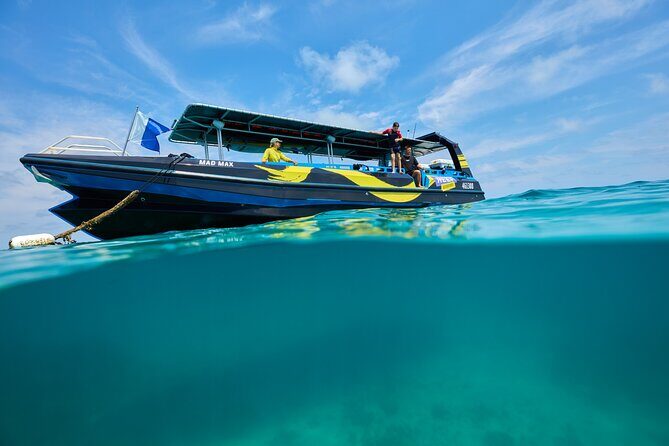 Cairns Half Day Tour a Great Barrier Reef Snorkeling Experience - Final Word