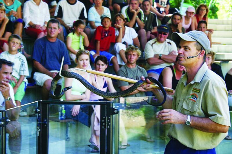 Cairns: Hartley's Crocodile Adventures Visit with Transfer - Key Points