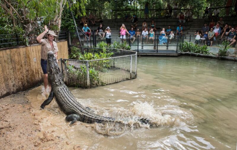 Cairns: Hartley's Crocodile Adventures Visit with Transfer - The Itinerary: What to Expect on Your Day at Hartleys Crocodile Adventures