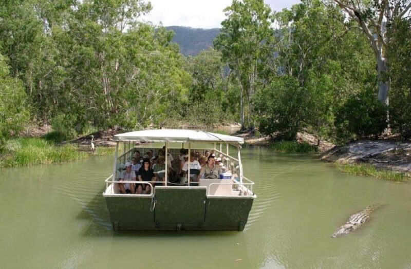 Cairns: Hartley's Crocodile Adventures Visit with Transfer - Potential Drawbacks or Considerations