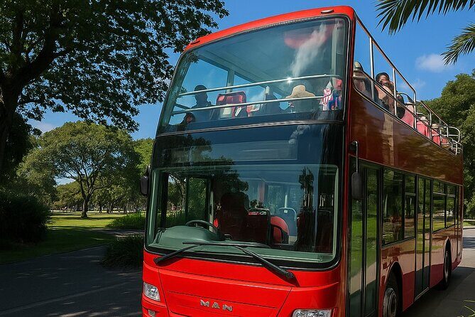 Cairns Hop on Hop Off - The Itinerary in Detail: What Youll Experience