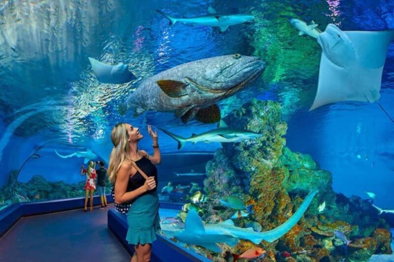 Cairns: Hot Air Balloon Flight & Cairns Aquarium Entry - Key Points