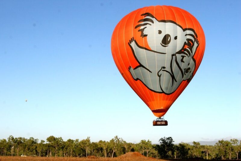Cairns: Hot Air Balloon Flight with Transfers - The Itinerary: What to Expect on Your Hot Air Balloon Adventure