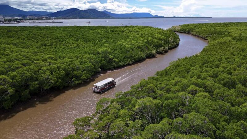 Cairns: Immersive Small Group Indigenous Cultural Experience - Meeting and Initial Impressions