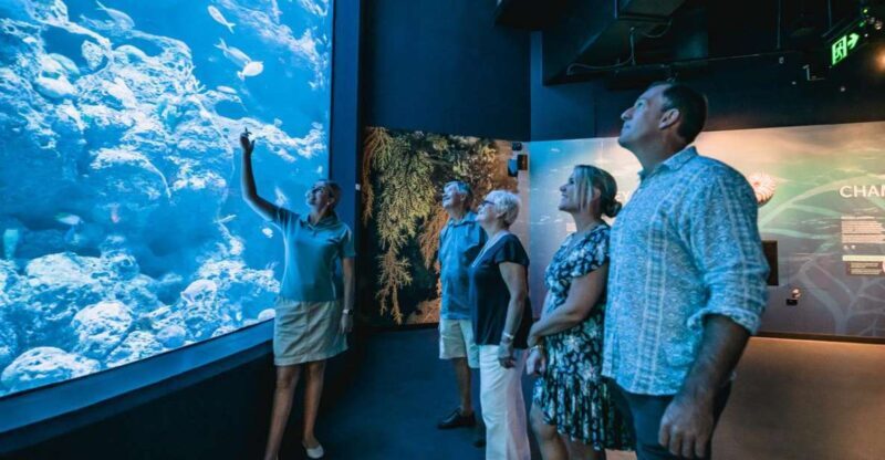 Cairns: Night at the Aquarium Guided Tour & 2 Course Dinner - Introduction