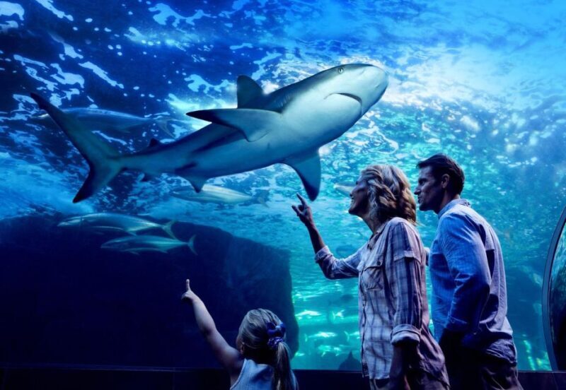 Cairns: Night at the Aquarium Guided Tour & 2 Course Dinner - FAQ