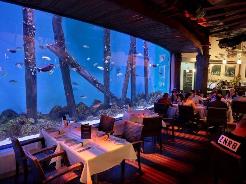 Cairns: Night at the Aquarium Guided Tour - The Itinerary in Detail