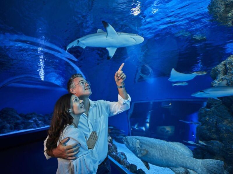 Cairns: Night at the Aquarium Guided Tour - Final Thoughts