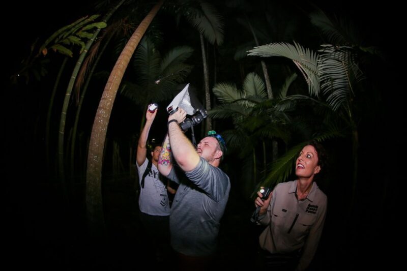 Cairns: Night Walk in Cairns Botanic Gardens - An Introduction to the Night Walk Experience