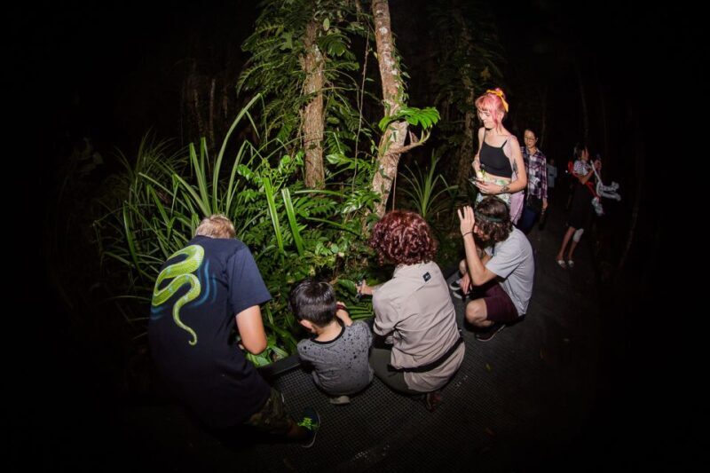 Cairns: Night Walk in Cairns Botanic Gardens - The Value of Small Group and Local Expertise