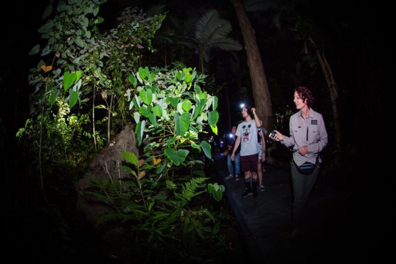 Cairns: Night Walk in Cairns Botanic Gardens - Practical Details to Keep in Mind