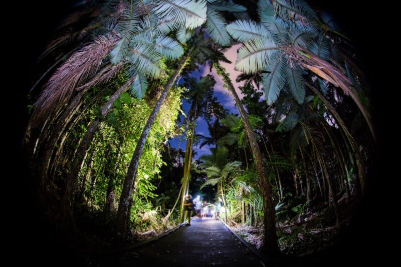 Cairns: Night Walk in Cairns Botanic Gardens - What the Reviews Say