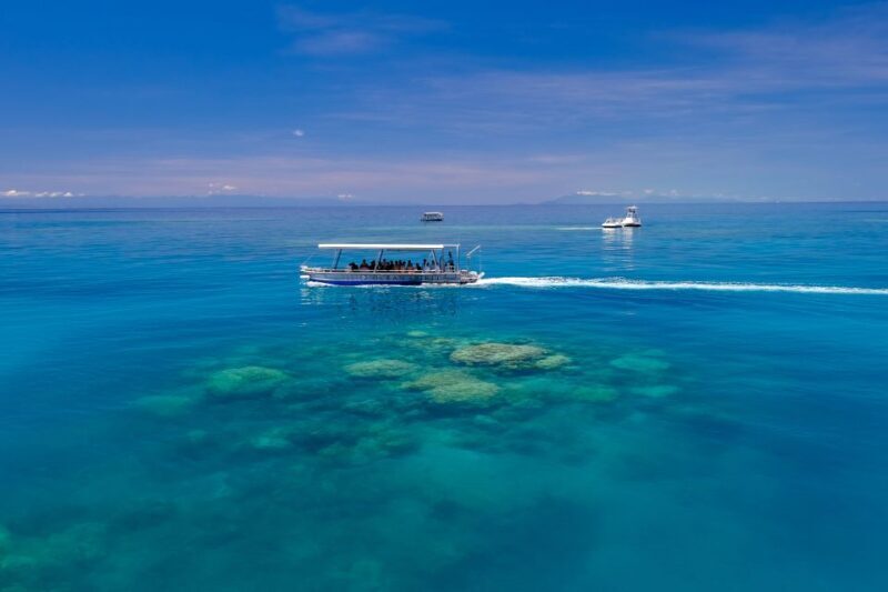 Cairns: Ocean Spirit Great Barrier Reef Full Day Tour - Practical Details & Tips for Travelers