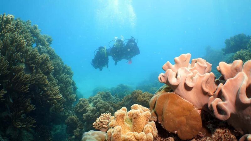 Cairns: Ocean Spirit Great Barrier Reef Full Day Tour - FAQs