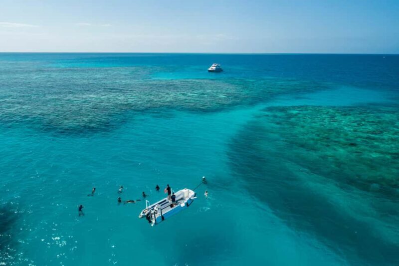 Cairns: Outer and Coral Cay Snorkel and Dive Cruise - An In-Depth Look at the Experience