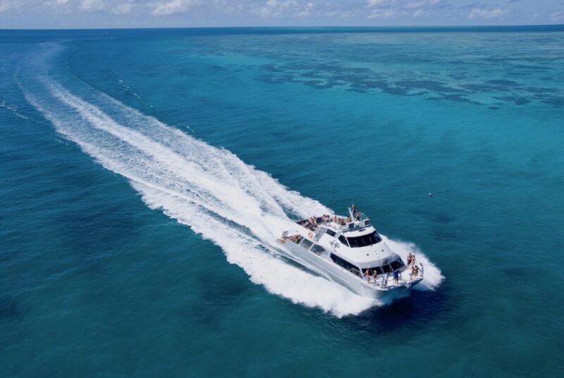 Cairns: Outer and Coral Cay Snorkel and Dive Cruise - The Value Proposition