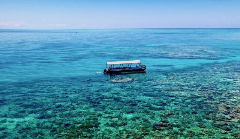 Cairns: Outer and Coral Cay Snorkel and Dive Cruise - FAQ: Your Questions Answered