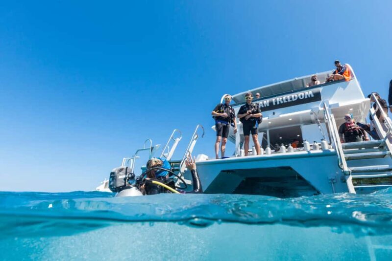 Cairns: Outer and Coral Cay Snorkel and Dive Cruise - Final Thoughts