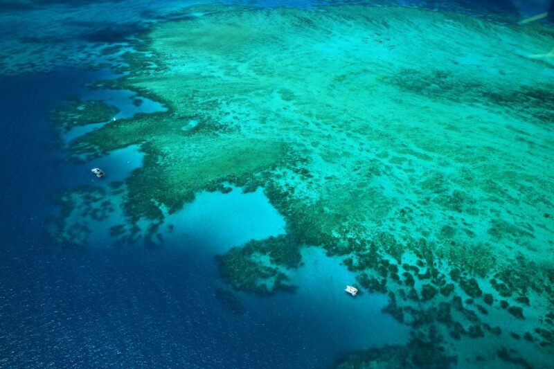 Cairns: Outer Edges of The Great Barrier Reef Scenic Flight - Who Will Love This Tour
