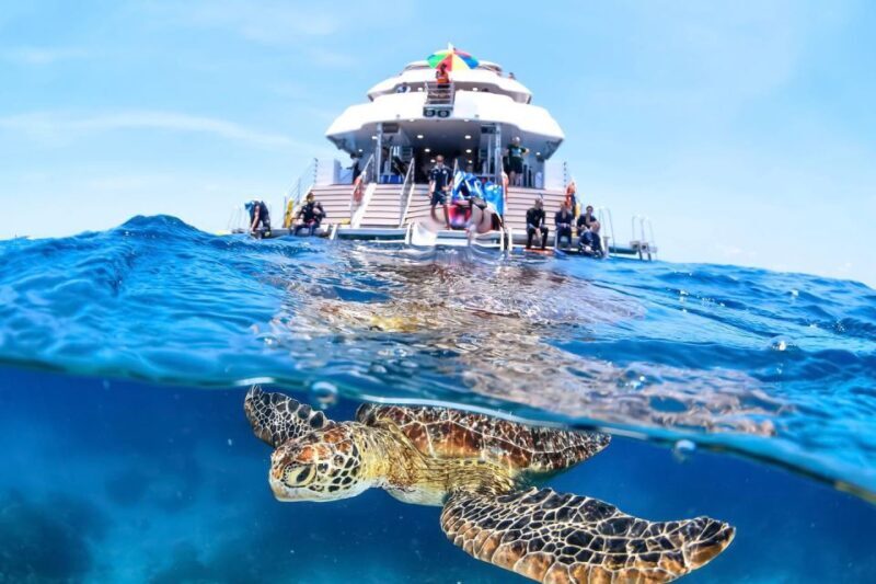 Cairns: Outer Great Barrier Reef Full-Day Tour with Lunch - The Crew and Safety: A Big Part of the Experience