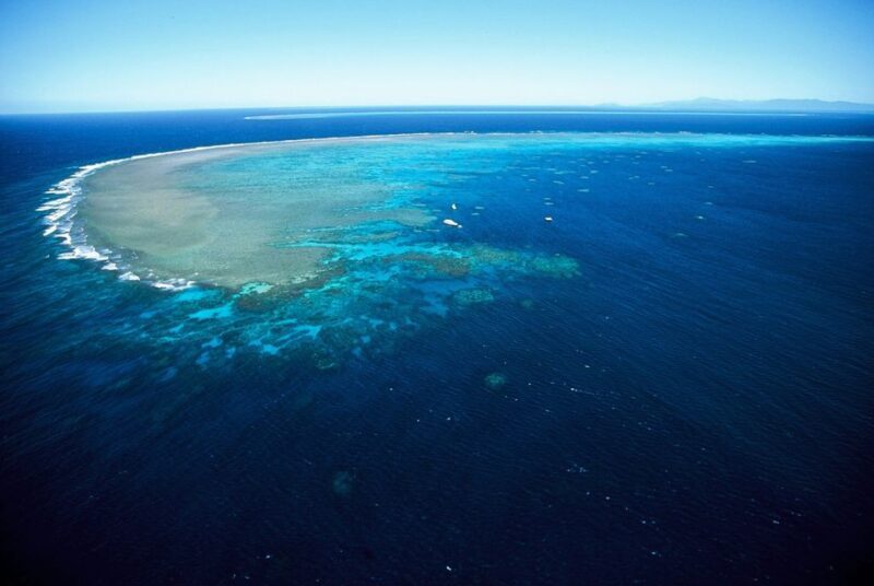Cairns: Outer Great Barrier Reef Full-Day Tour with Lunch - Who Should Consider This Tour?