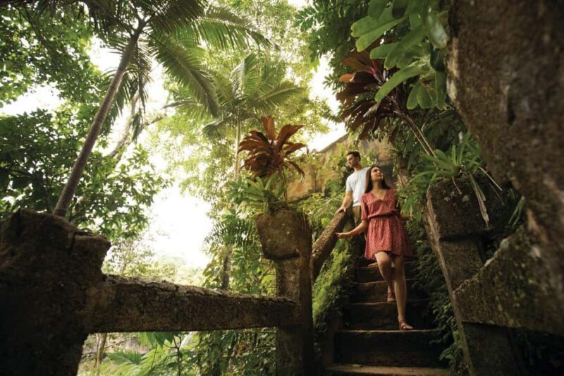 Cairns: Paronella Park Rainforest Full-Day Tour with Dinner - A Final Word