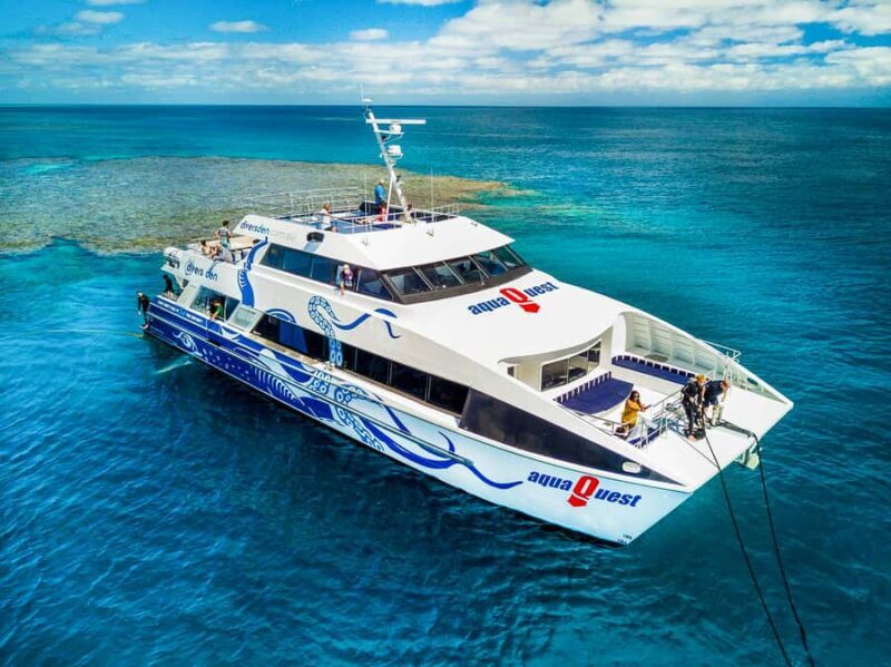 Cairns: Premium Snorkelling and Diving Reef Day Trip - An Introduction to the Tour Experience