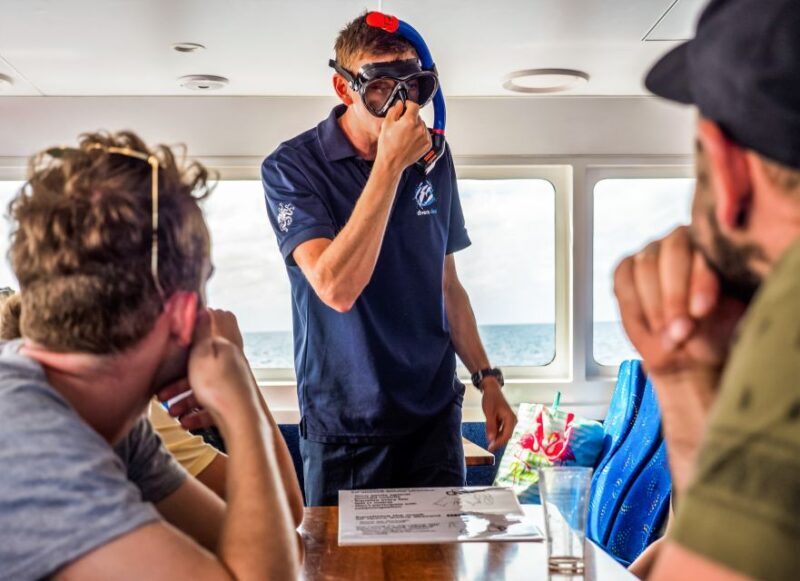 Cairns: Premium Snorkelling and Diving Reef Day Trip - Value and Quality