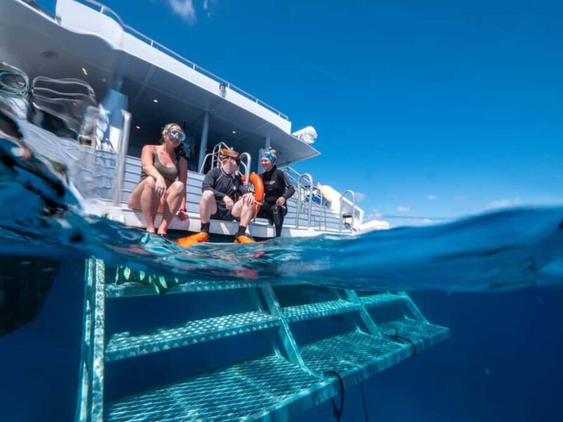 Cairns: Premium Snorkelling and Diving Reef Day Trip - FAQ