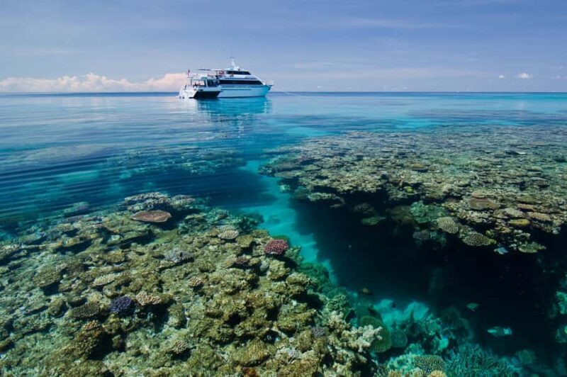 Cairns: Pro Dive 5 Day Learn to Dive Great Barrier Reef - The Vessel and Onboard Comfort