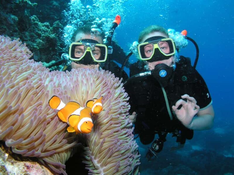 Cairns: Pro Dive Great Barrier Reef 3 Day/2 Night Dive Trip - Key Points