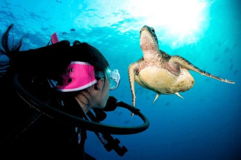 Cairns: Pro Dive Great Barrier Reef 3 Day/2 Night Dive Trip - Itinerary Breakdown: What to Expect